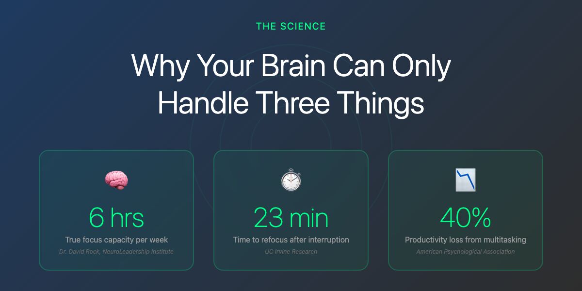 Signal/Noise - Focus on What Matters | 80/20 Productivity App